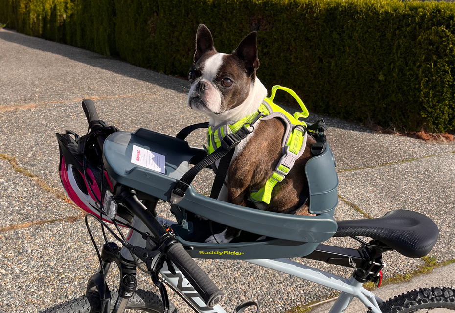Buddyrider® | Make the World Your Dog Park - Dog Bike Carriers ...
